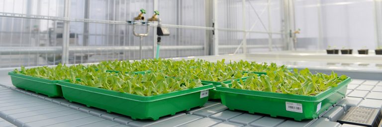 Research Support Services - Crop Science