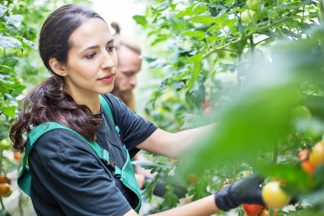 SGS Crop Science News: April 2021 - Crop Science